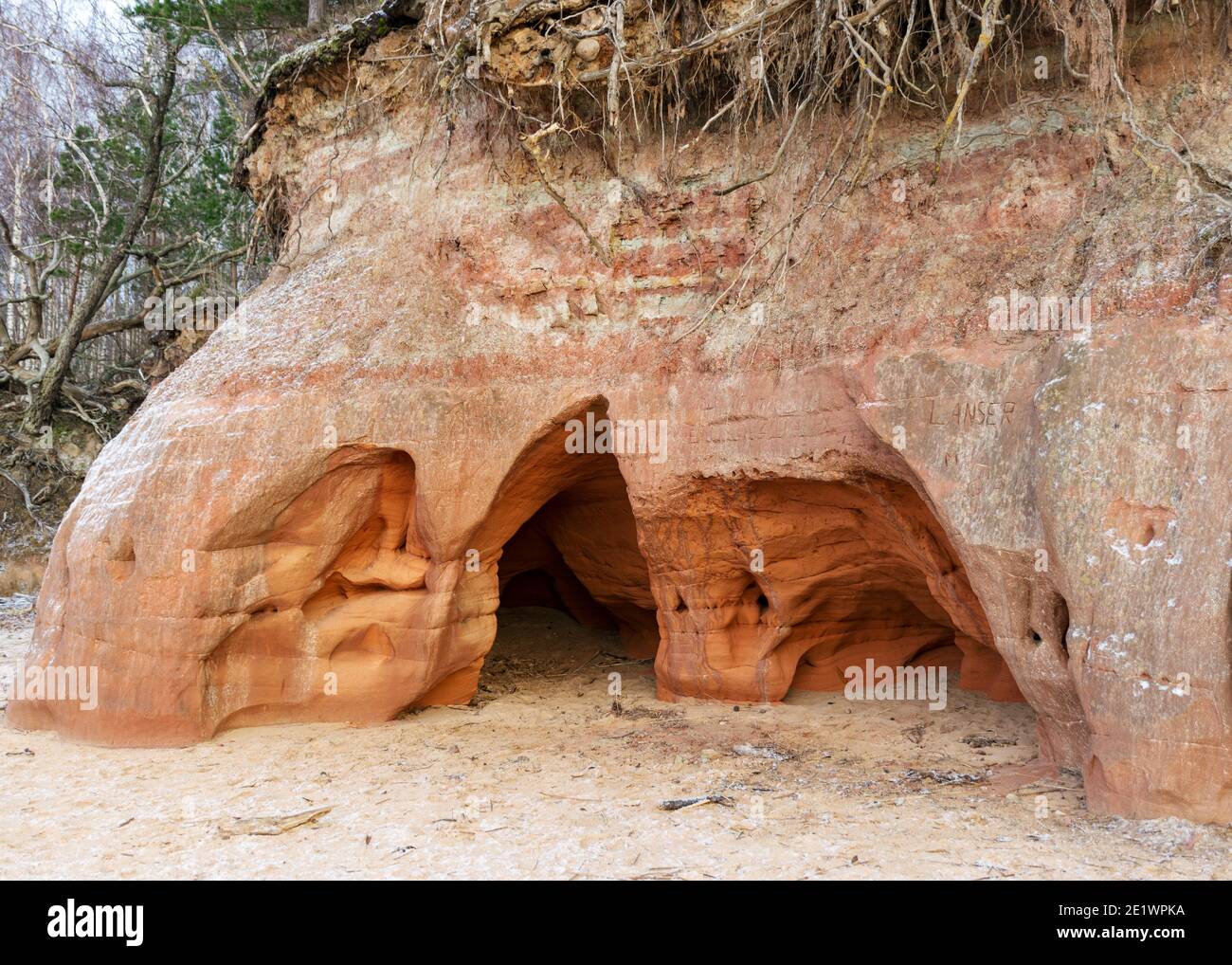 Sea cliff with Devonian sandstone outcrops. During the storm, niches ...