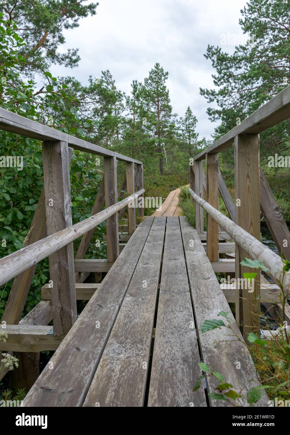 rainy day, rainy background, traditional bog landscape, wet wooden ...