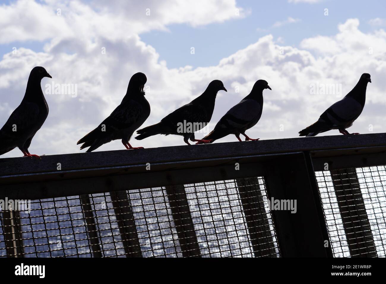 Five people silhouettes hi-res stock photography and images - Alamy
