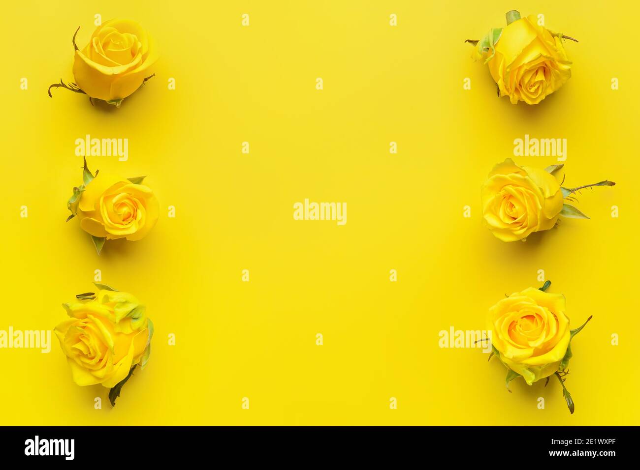 Composition with beautiful yellow roses on color background Stock Photo ...