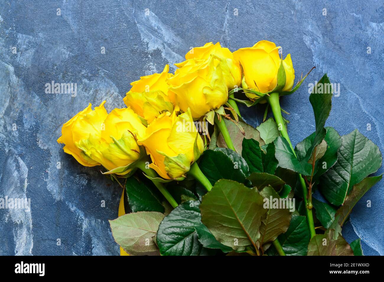 Beautiful yellow roses on color background Stock Photo - Alamy