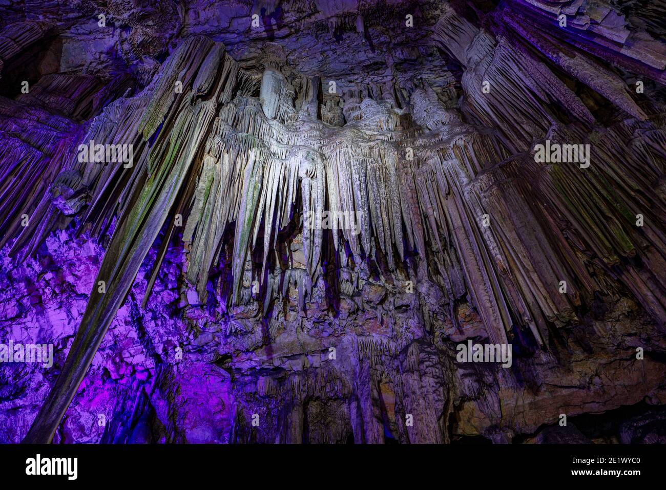 Upper rock nature reserve gibraltar hi-res stock photography and images ...