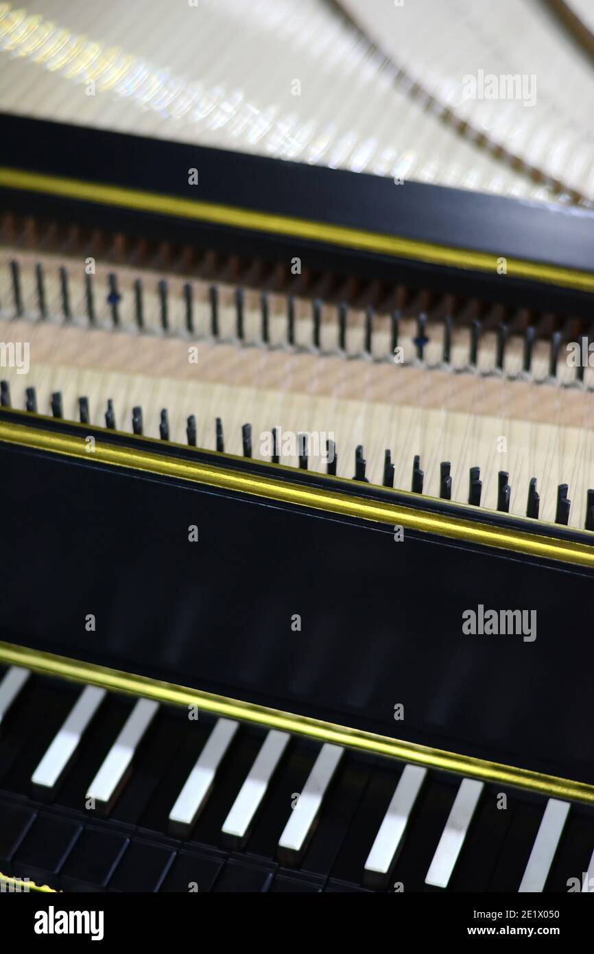 Baroque music concert harpsichord hi-res stock photography and images ...