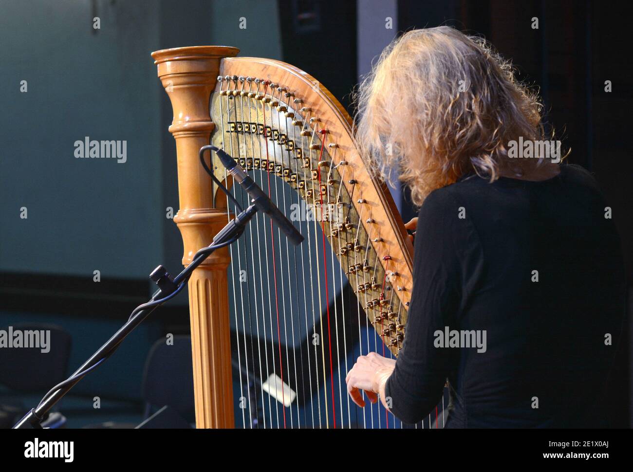 The musician tweaks the harp. Harp player. Classical musician harpist ...