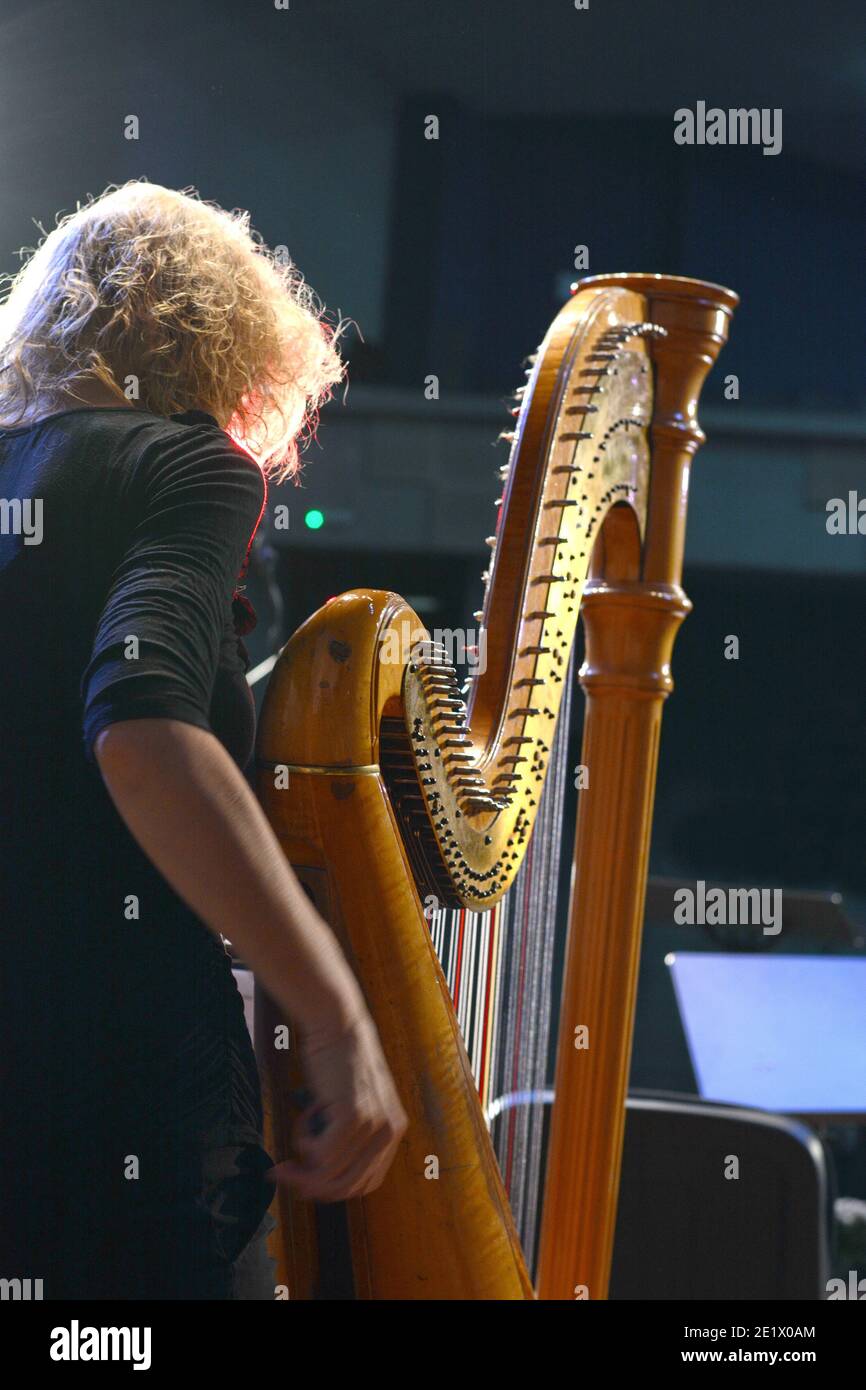 The musician tweaks the harp. Harp player. Classical musician harpist ...