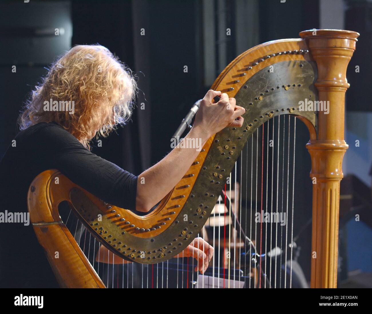 The musician tweaks the harp. Harp player. Classical musician harpist ...