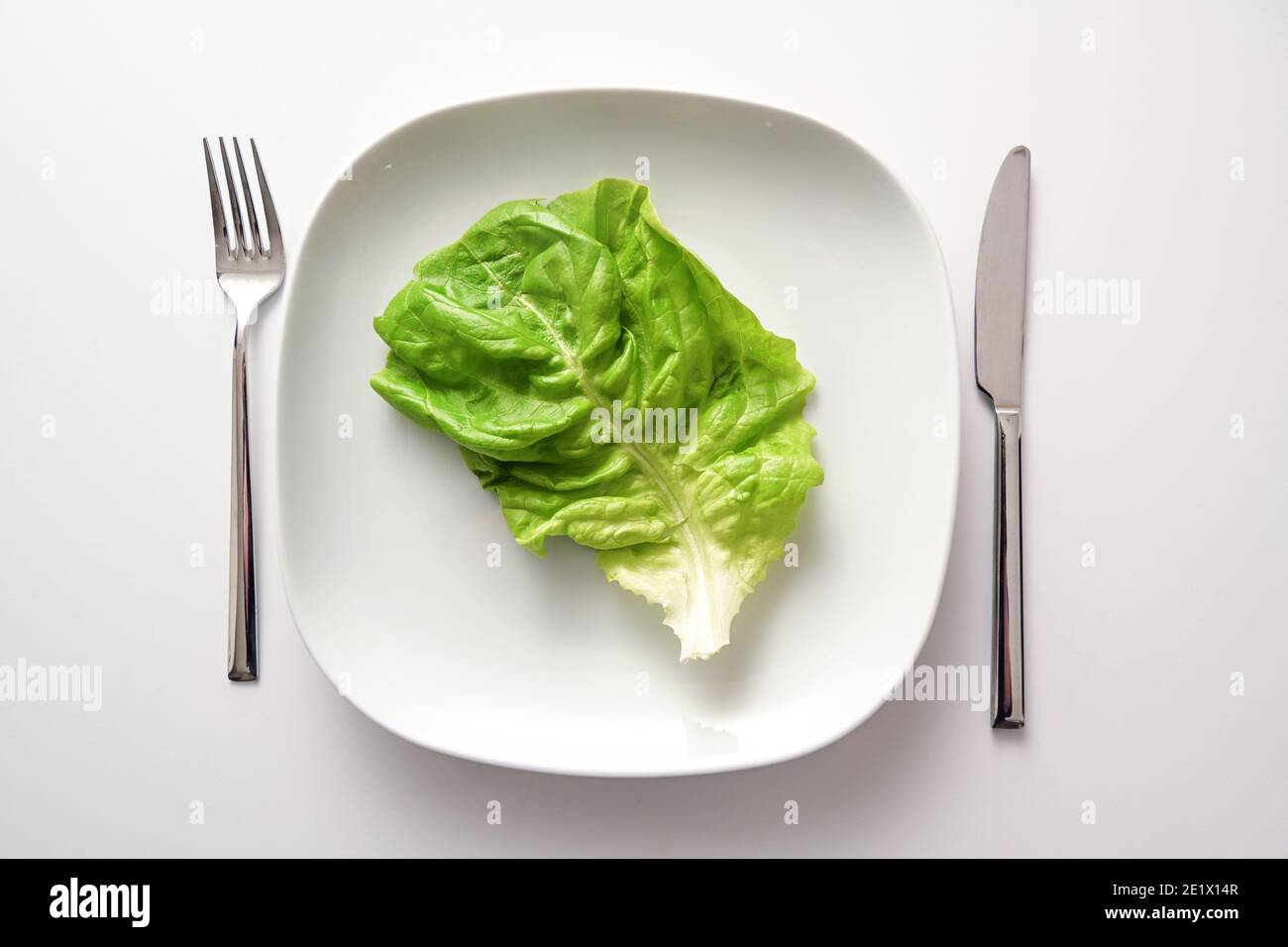 Lettuce in a plate hi-res stock photography and images - Alamy