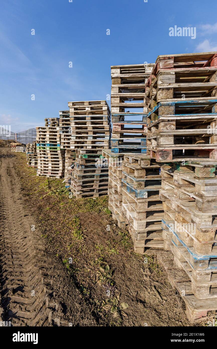 A group of old, used wooden euro pallets Stock Photo - Alamy