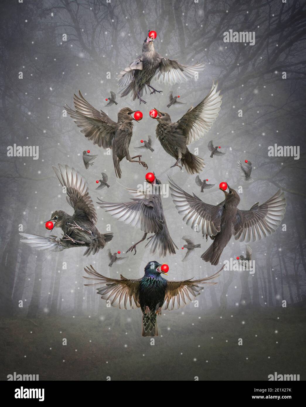 Christmas card design Stock Photo - Alamy