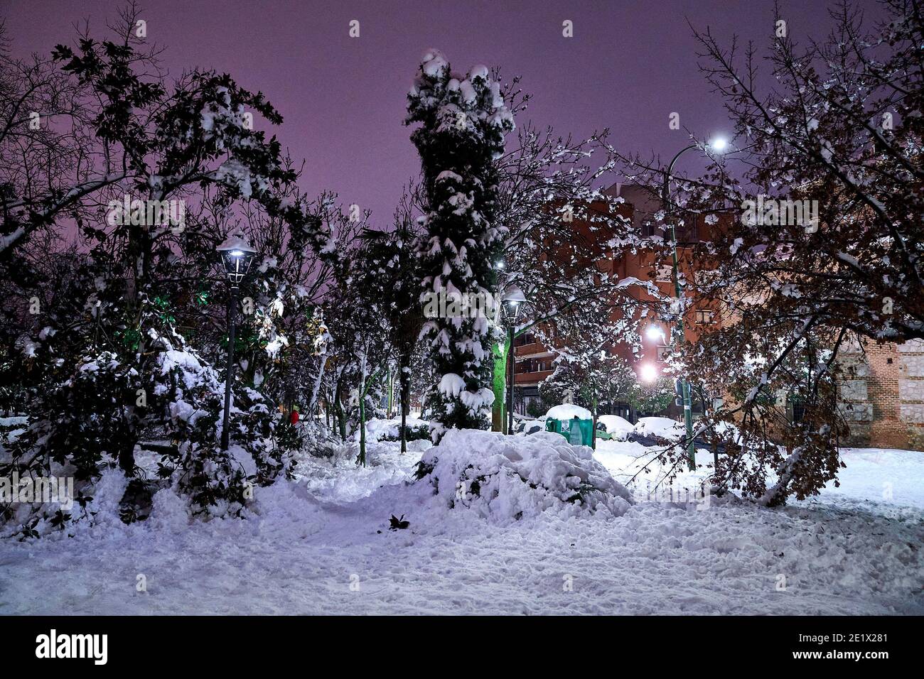 The storm Filomena leaves several inches of snow on January 09, 2021 in ...
