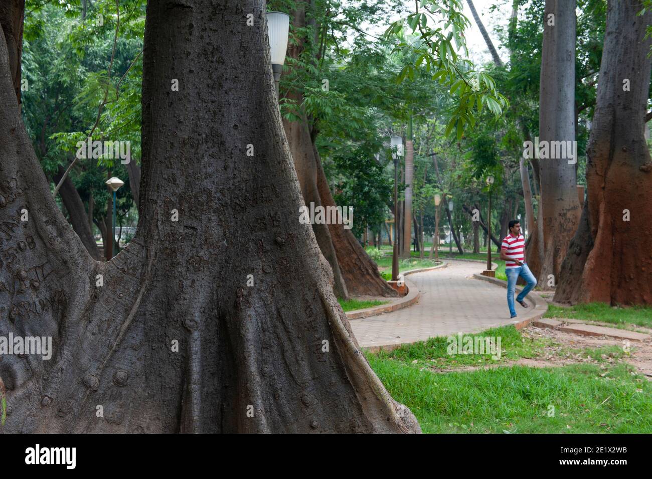 Pondicherry, India - December 2020: The Botanical Garden. Buttress ...