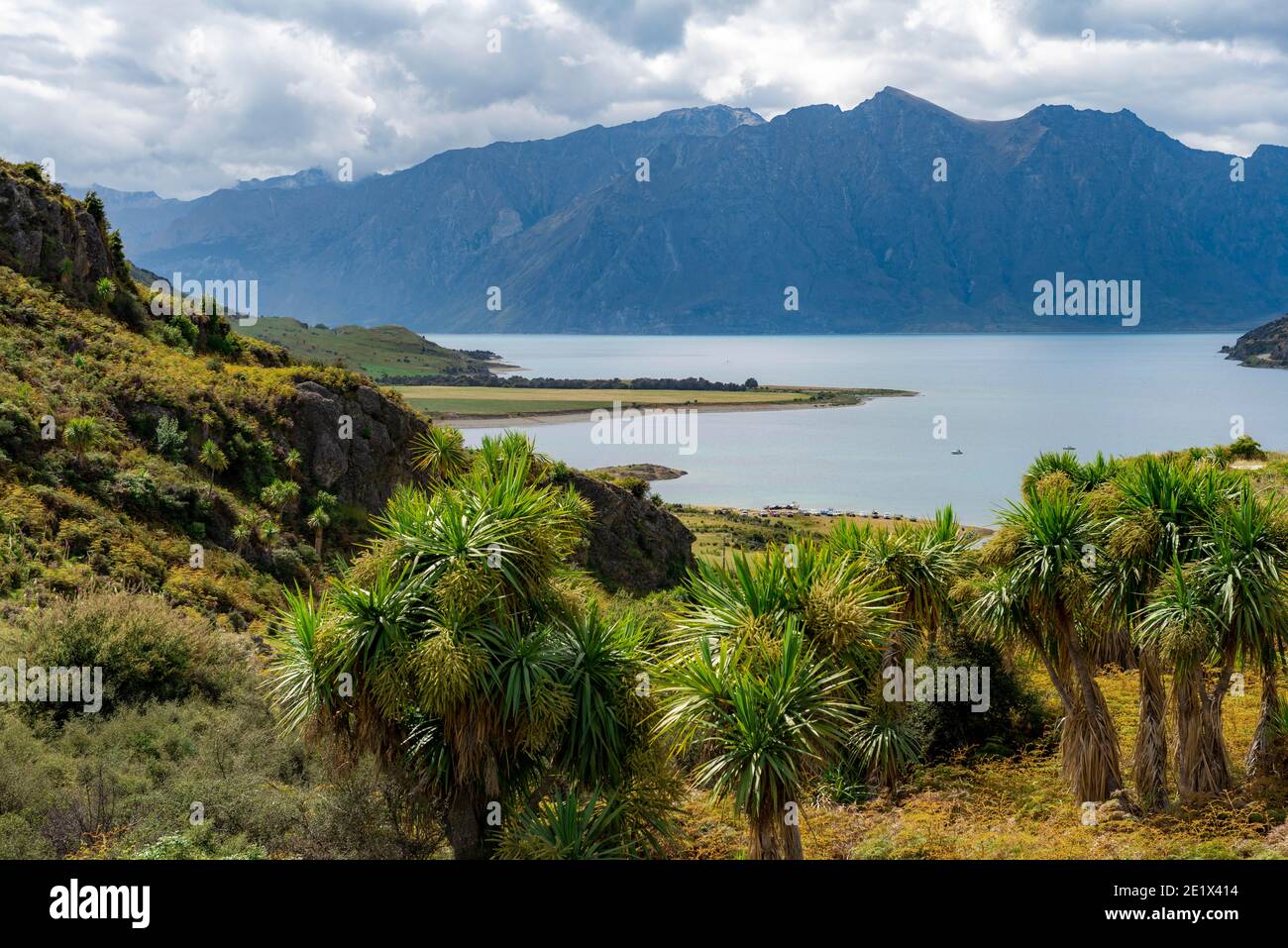 View of mountains and Lake Hawea with palm trees, The Neck, Otago ...