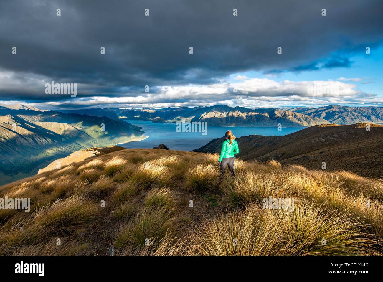 Hiker looks into the distance, view of Lake Hawea in the evening light ...