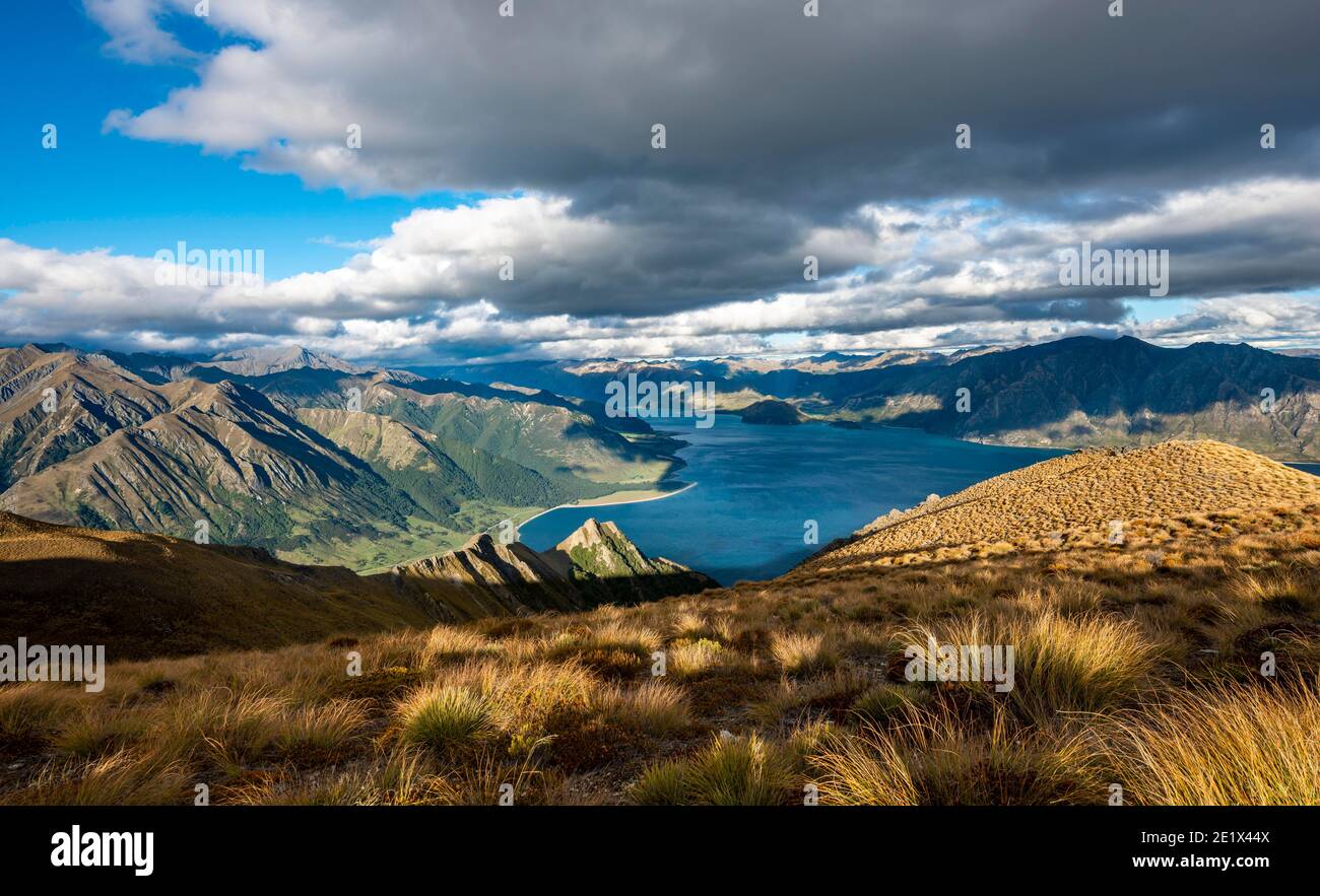 View of Lake Hawea, lake and mountain landscape, view from Isthmus Peak ...