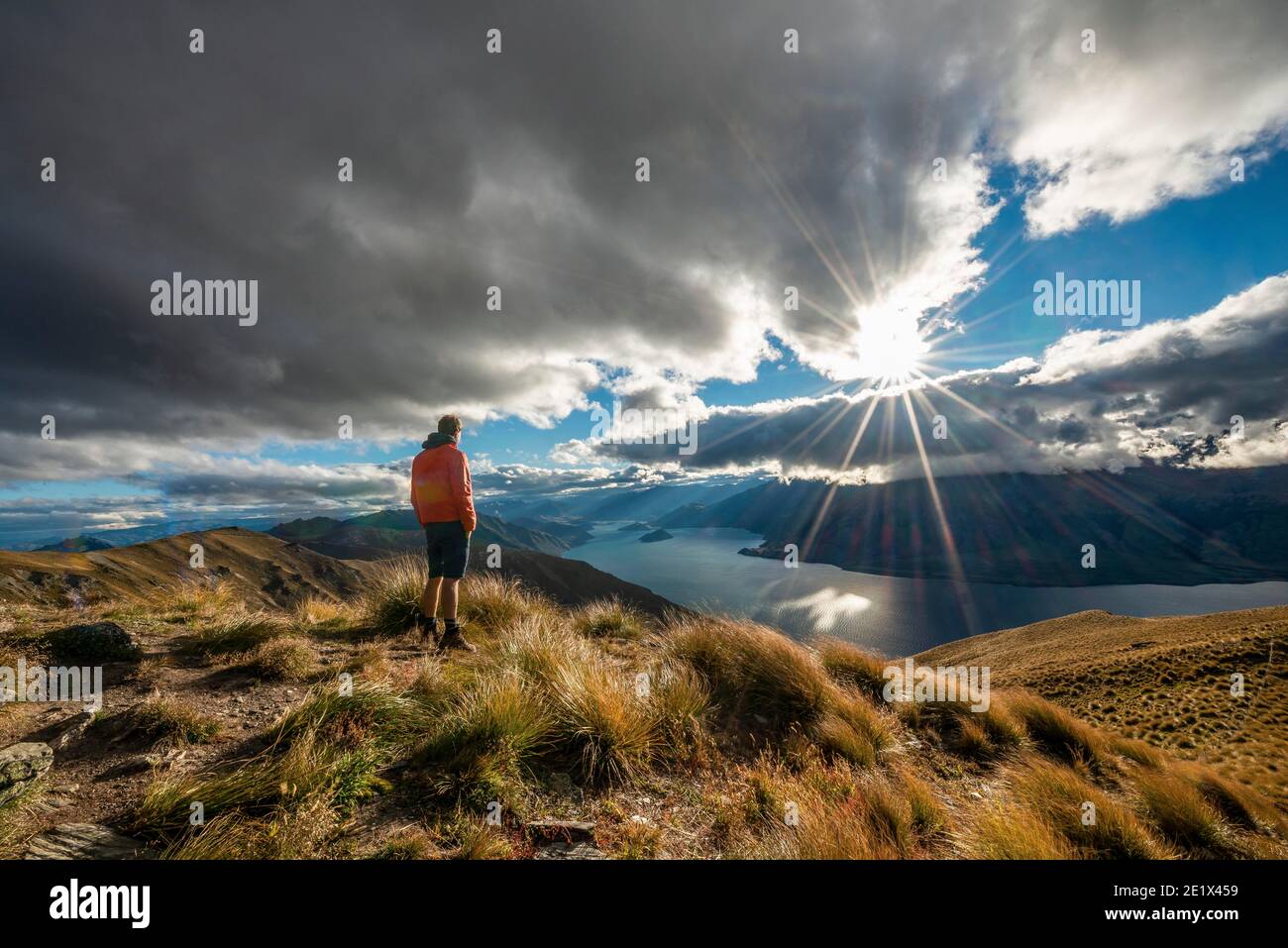 Hiker looks into the distance, view of Lake Wanaka in sunshine, lake ...