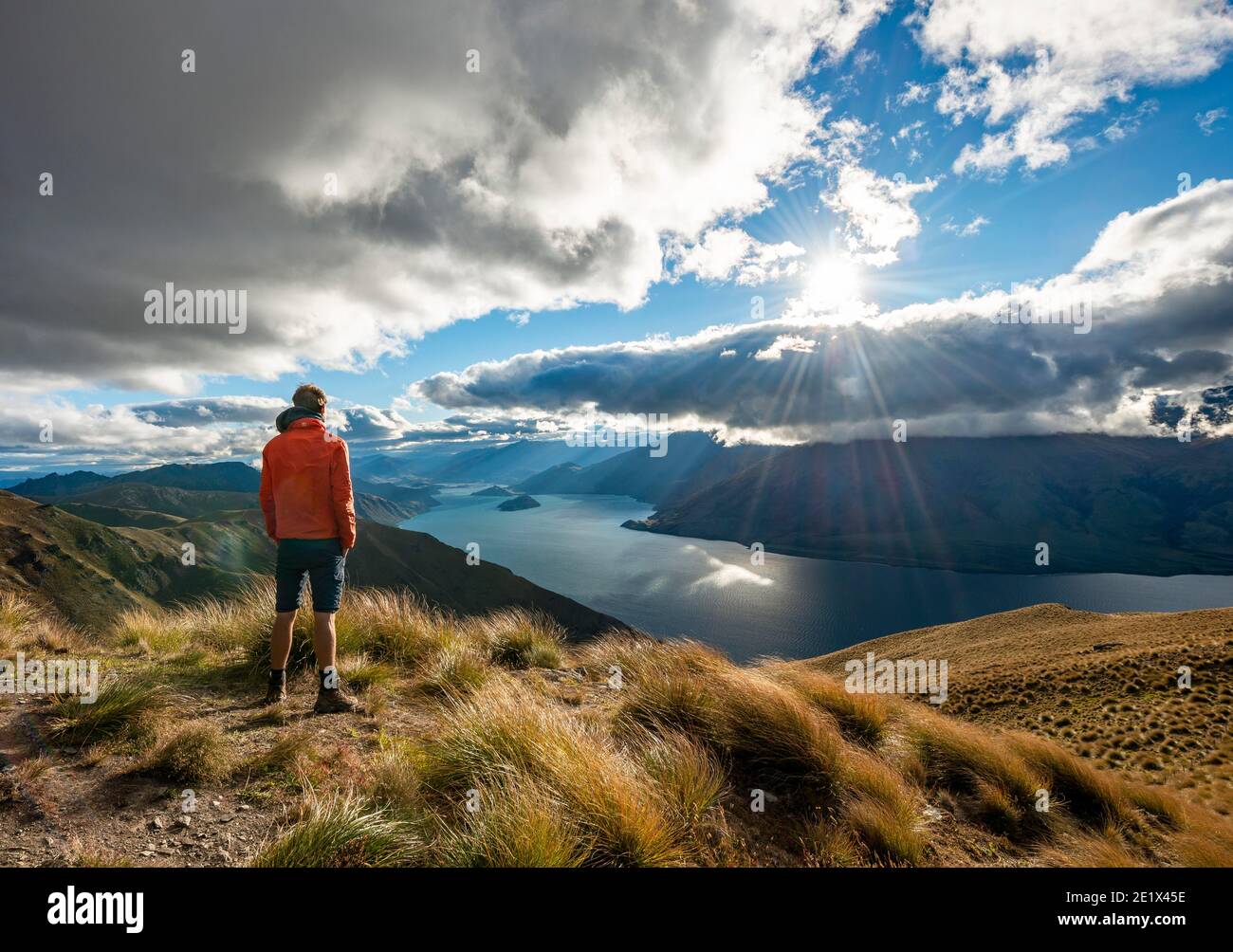 Hiker looks into the distance, view of Lake Wanaka in sunshine, lake ...