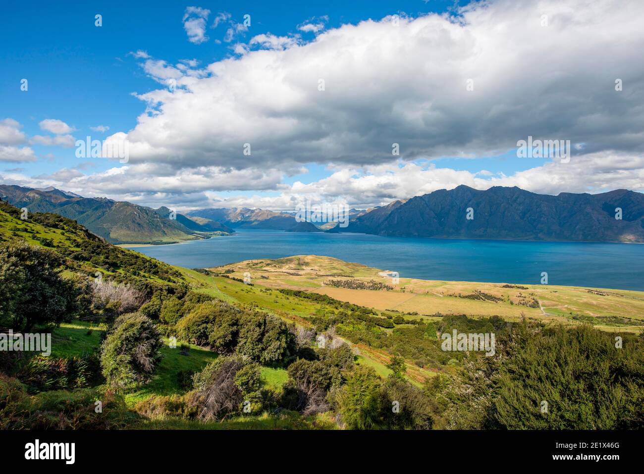 View of Lake Hawea, lake and mountain landscape, view from the hiking ...