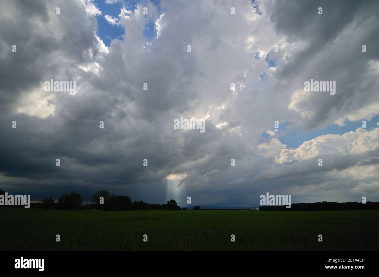 Lots of sunshine hi-res stock photography and images - Alamy