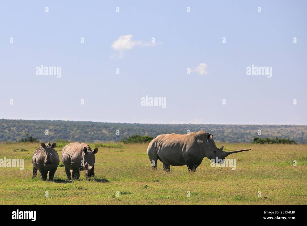 Solio sanctuary hi-res stock photography and images - Alamy