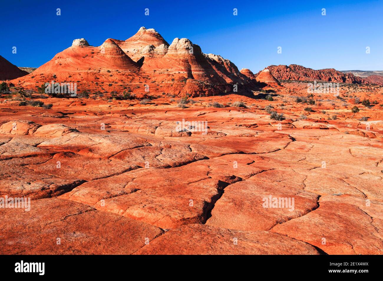 Coyote Buttes North, Sandstone Range, Arizona, USA Stock Photo - Alamy