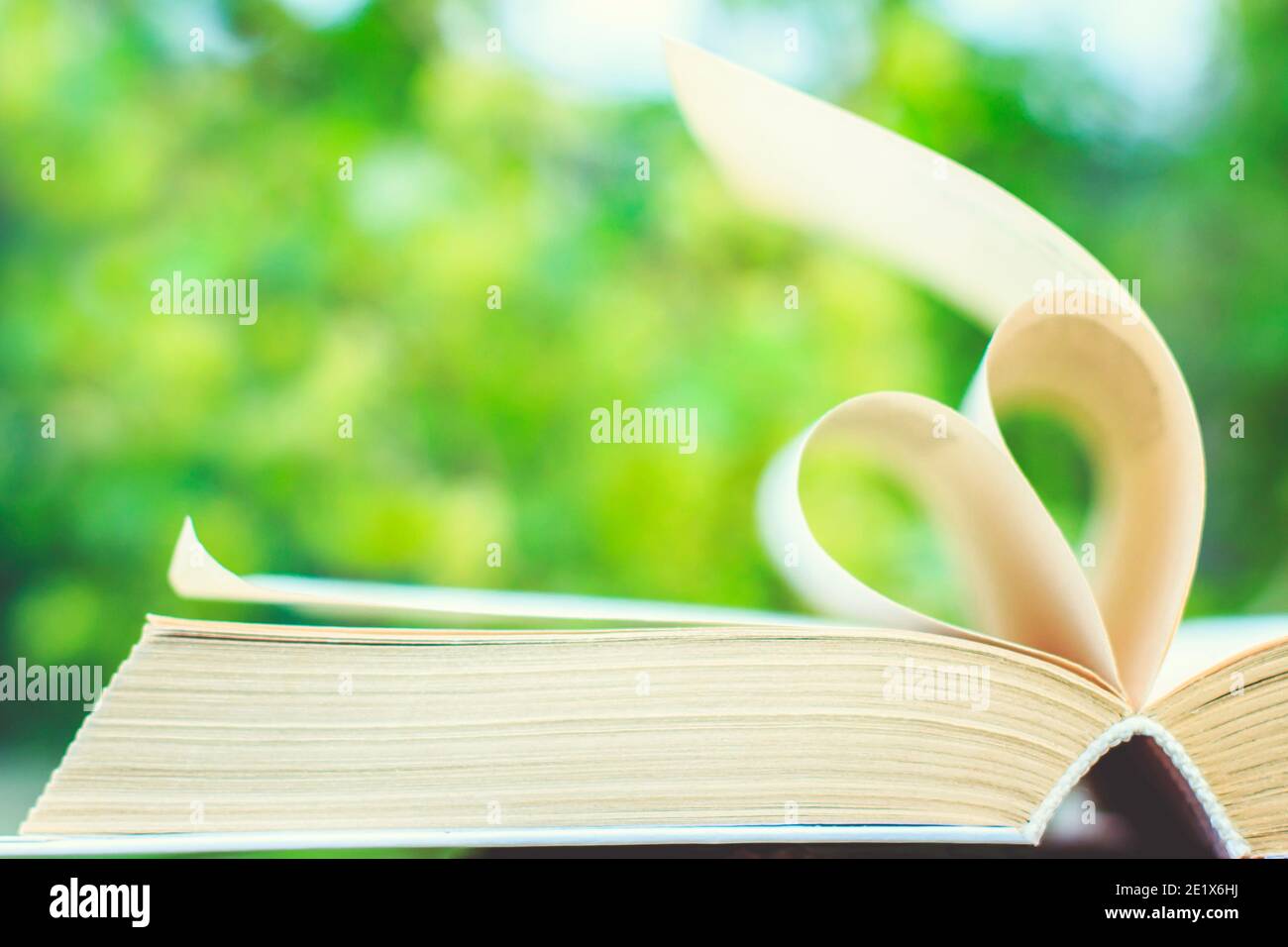 Heart from book. Love or reading concept Stock Photo - Alamy