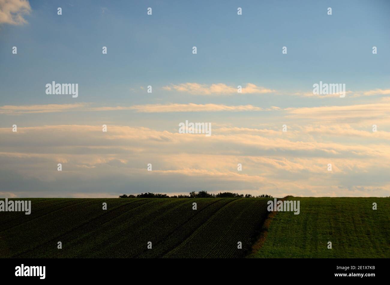 Happy autumn fields hi-res stock photography and images - Alamy