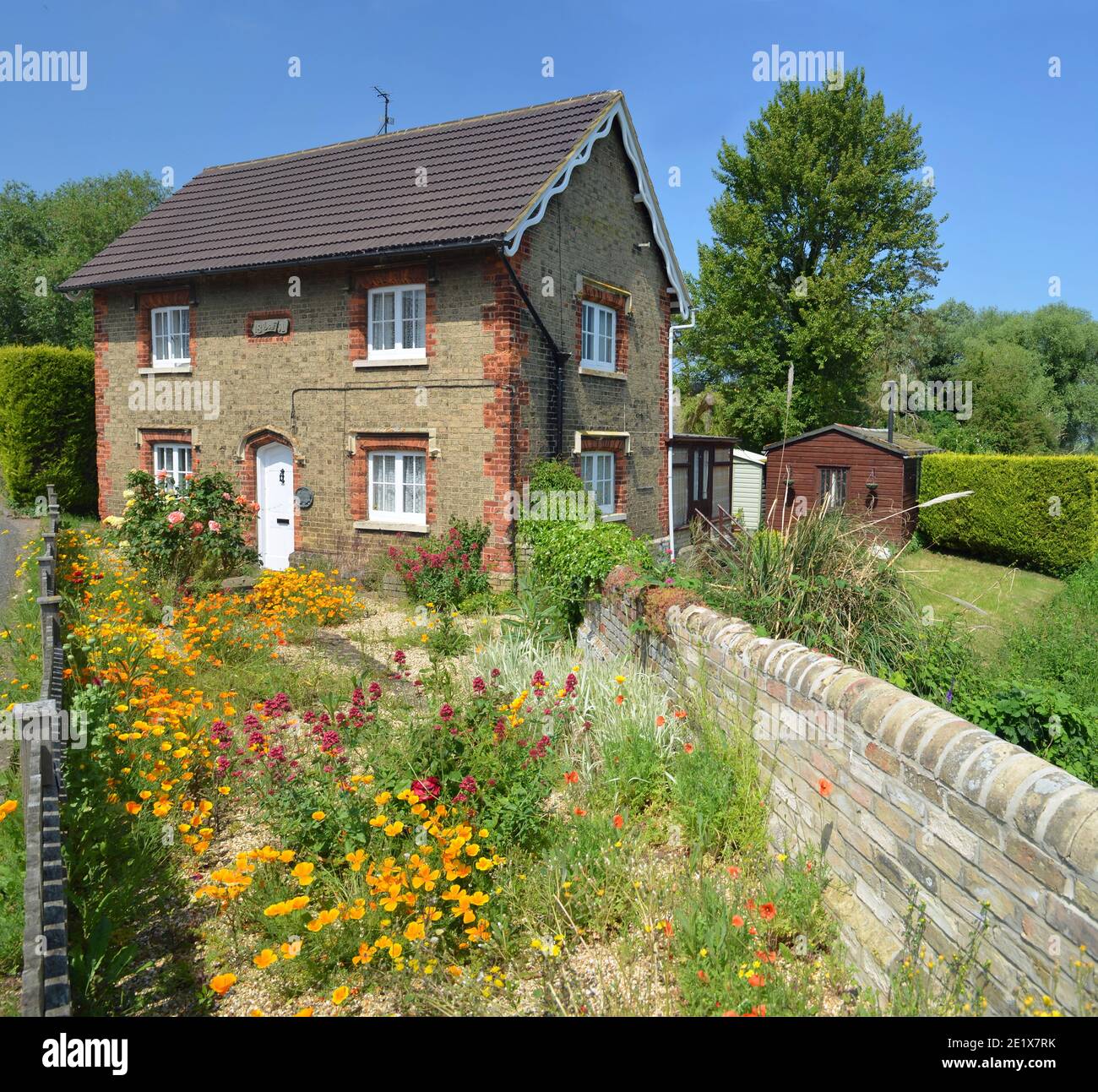English cottage with colourful cottage garden and wall Stock Photo - Alamy