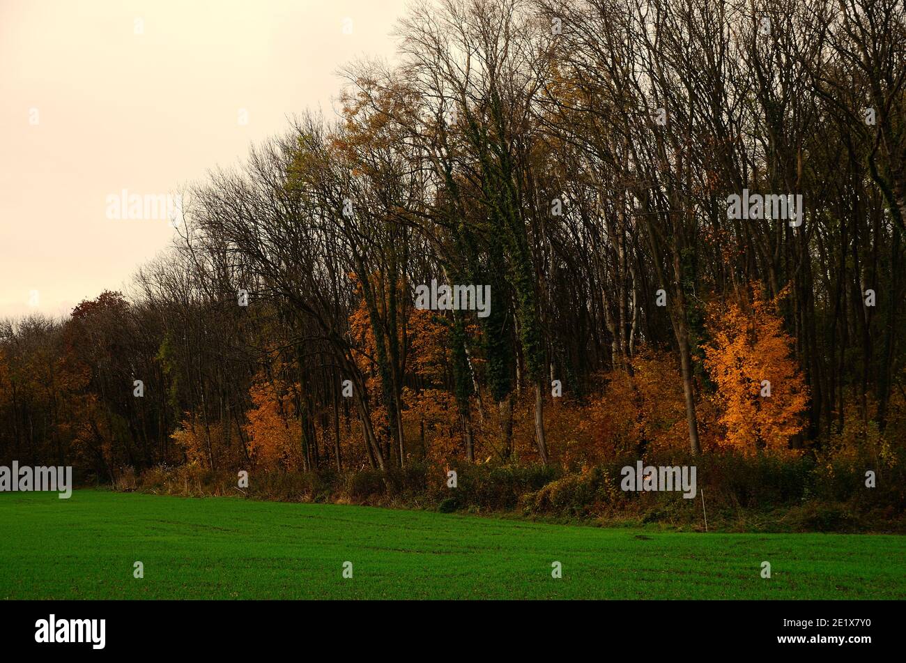 Colorful surroundings hi-res stock photography and images - Alamy