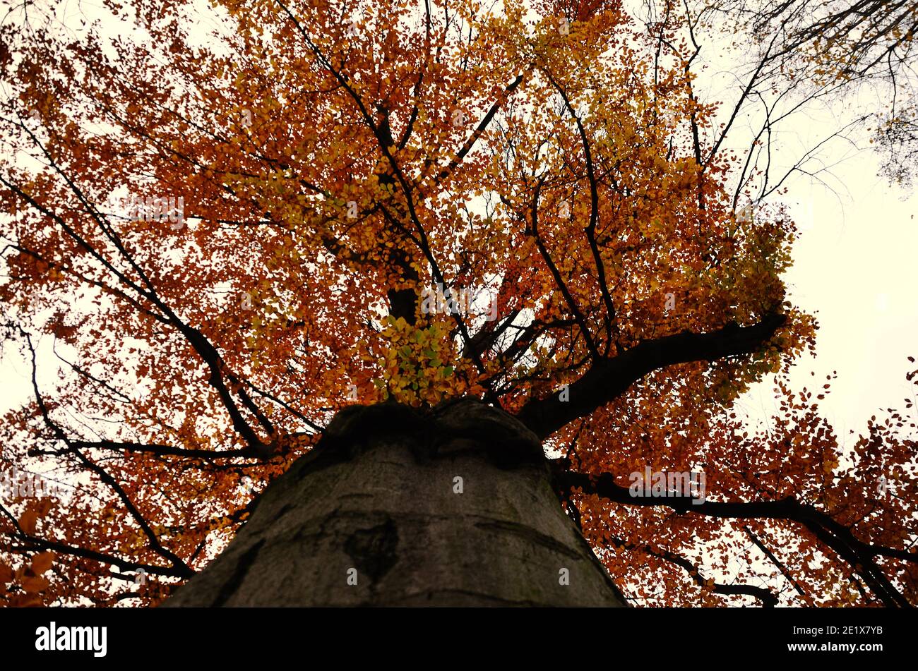 High colorful hi-res stock photography and images - Alamy