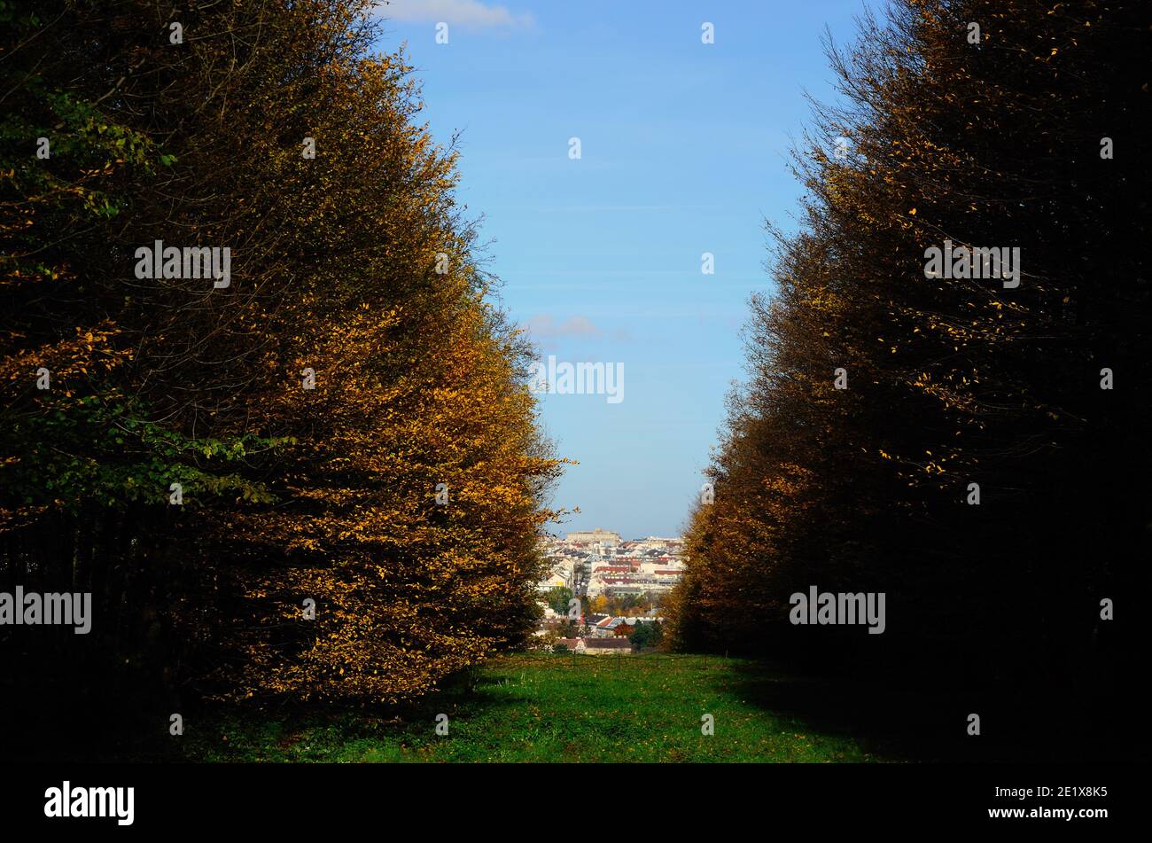 Change background hi-res stock photography and images - Alamy