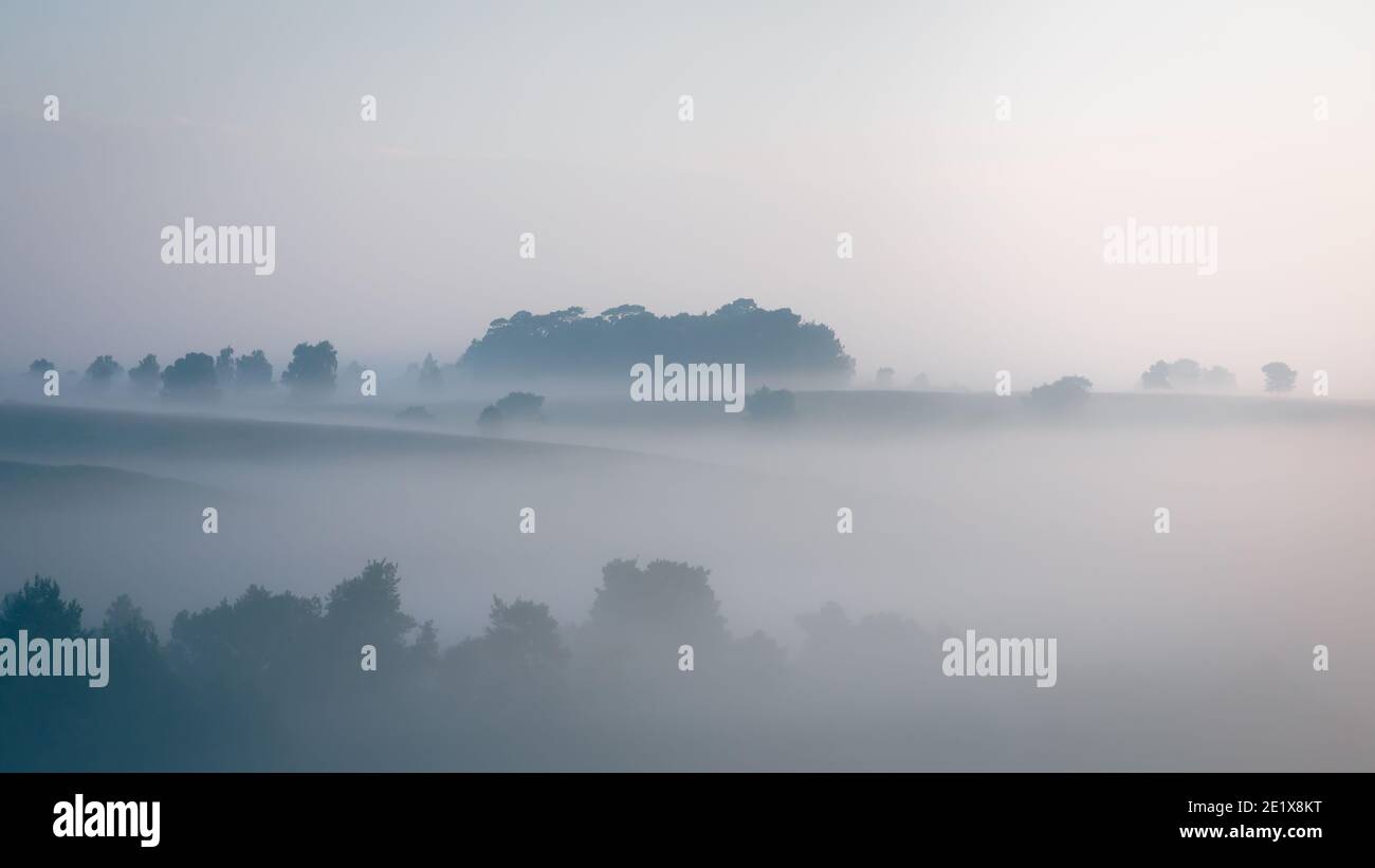 Heathland mist atmosphere hi-res stock photography and images - Alamy