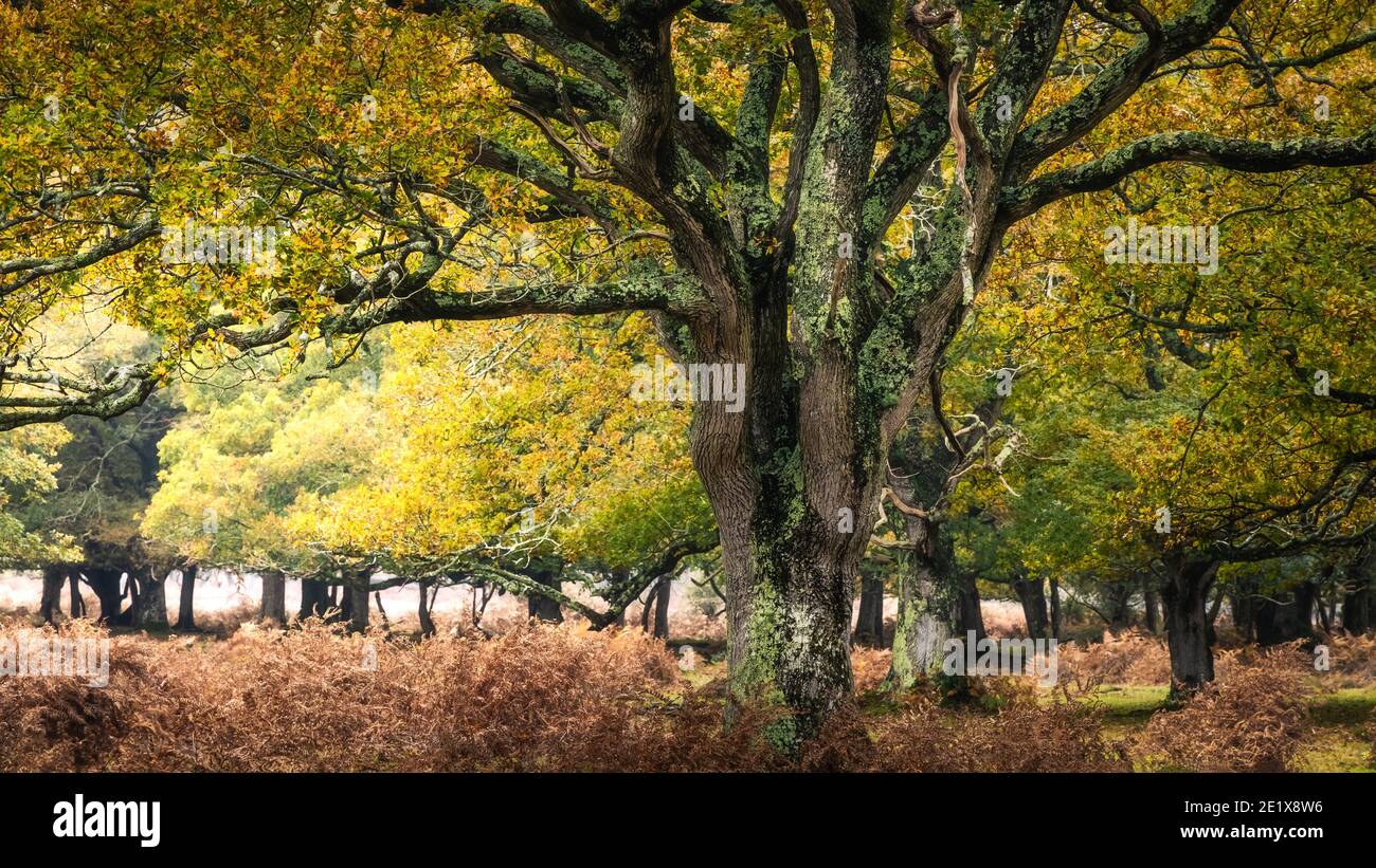 Mindful atmosphere hi-res stock photography and images - Alamy