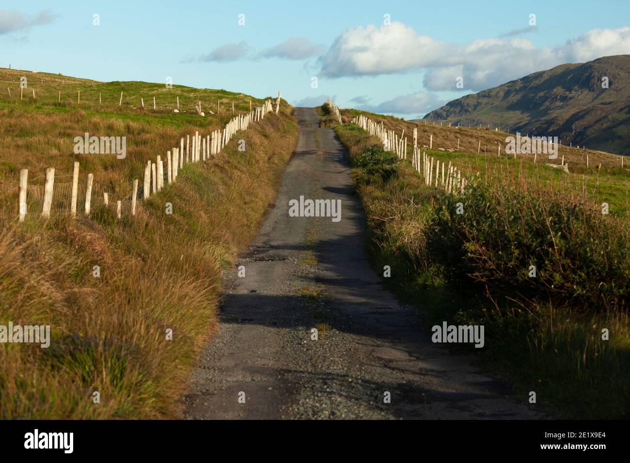Mountain road on the Wild Atlantic Way in Donegal in Ireland Stock ...