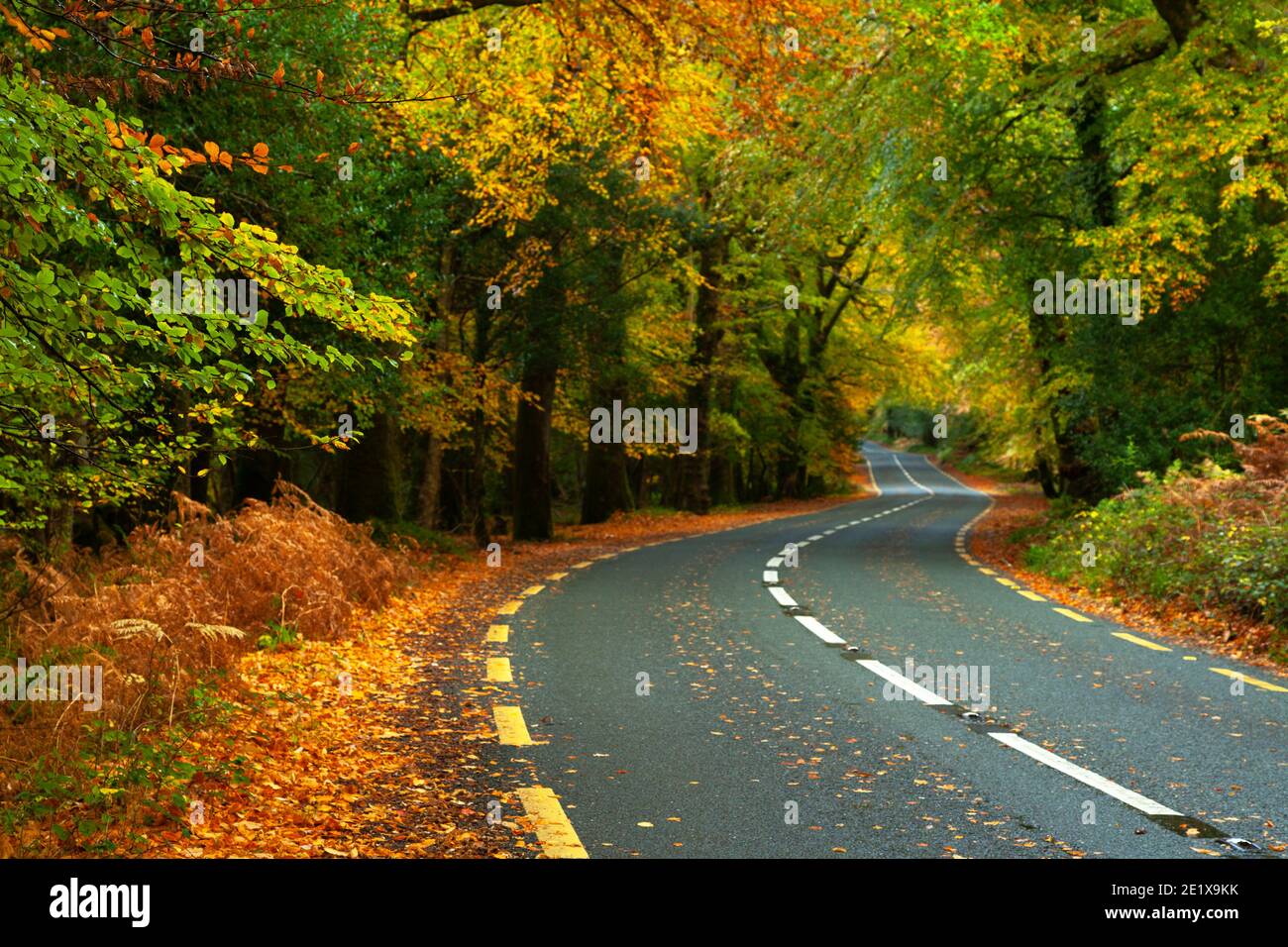 Woodside park hi-res stock photography and images - Alamy