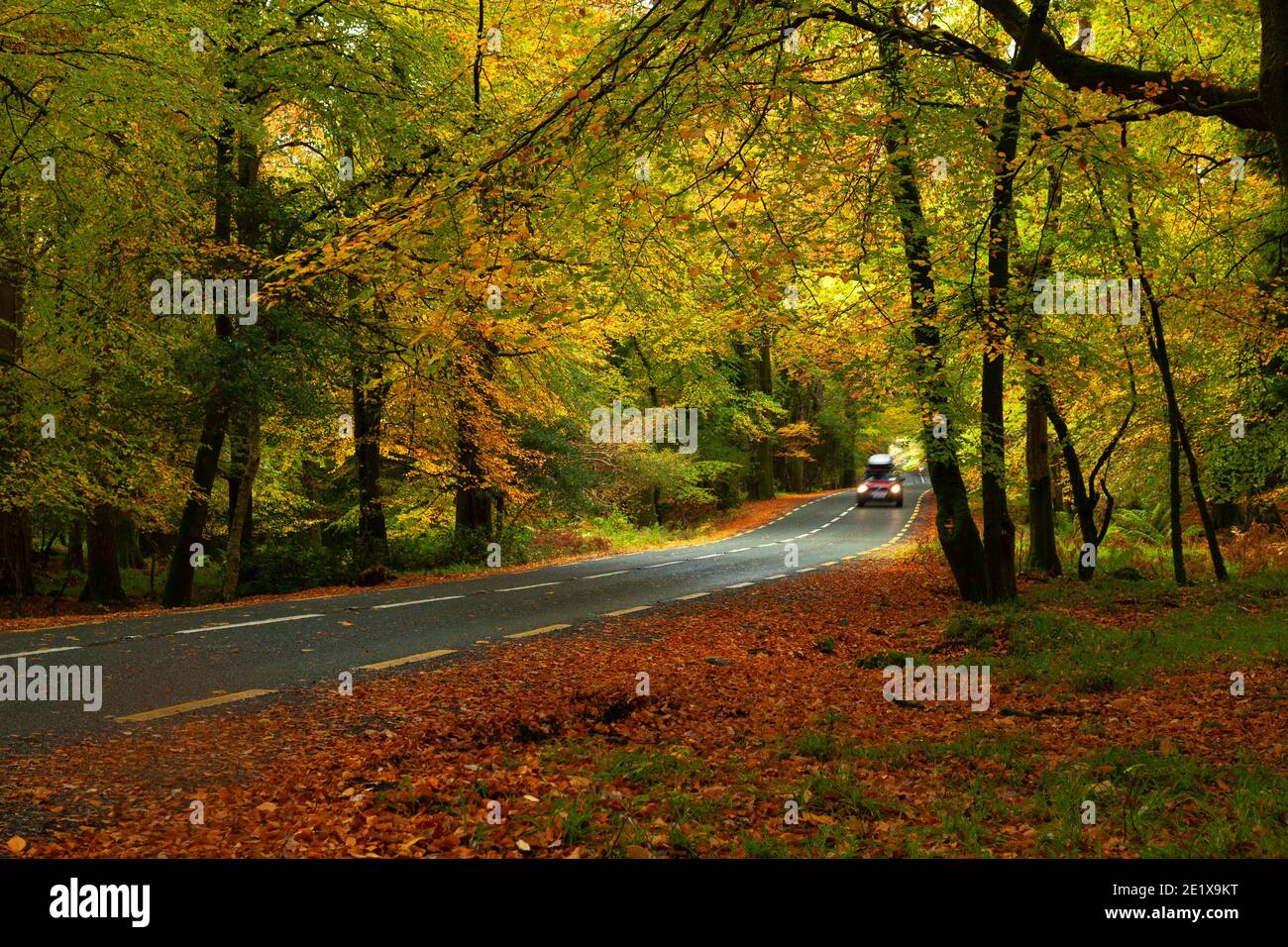 Woodside park hi-res stock photography and images - Alamy