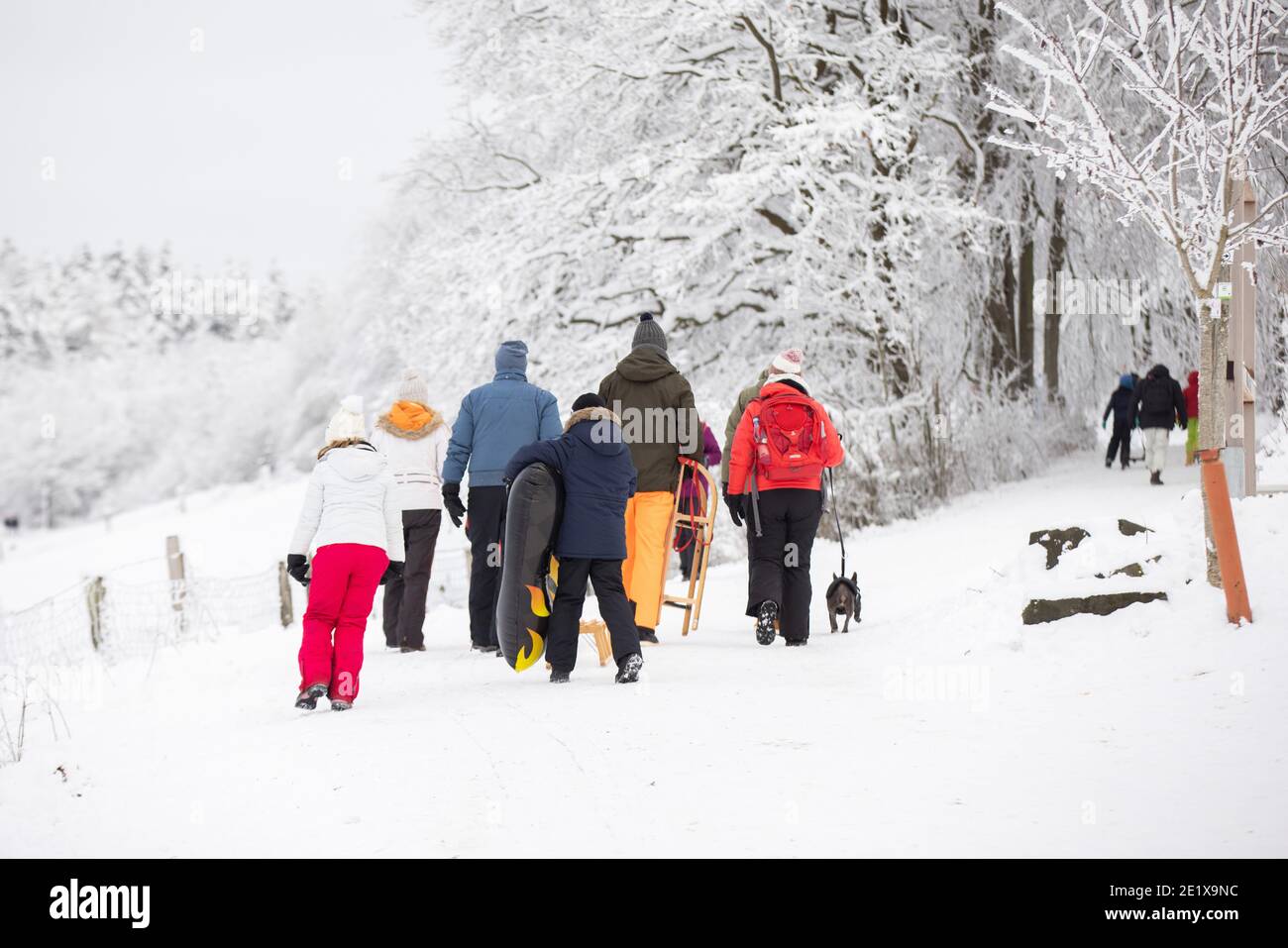 Mahlberg, Germany. 10th Jan, 2021. People with sledges run across a ...
