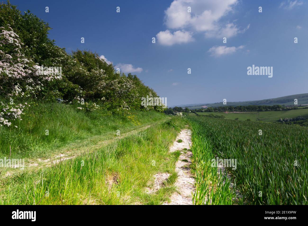 Spring path sussex hi-res stock photography and images - Alamy