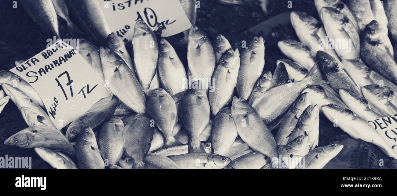Raw wet bluefish with price tag at fish market in Istanbul, Turkey ...