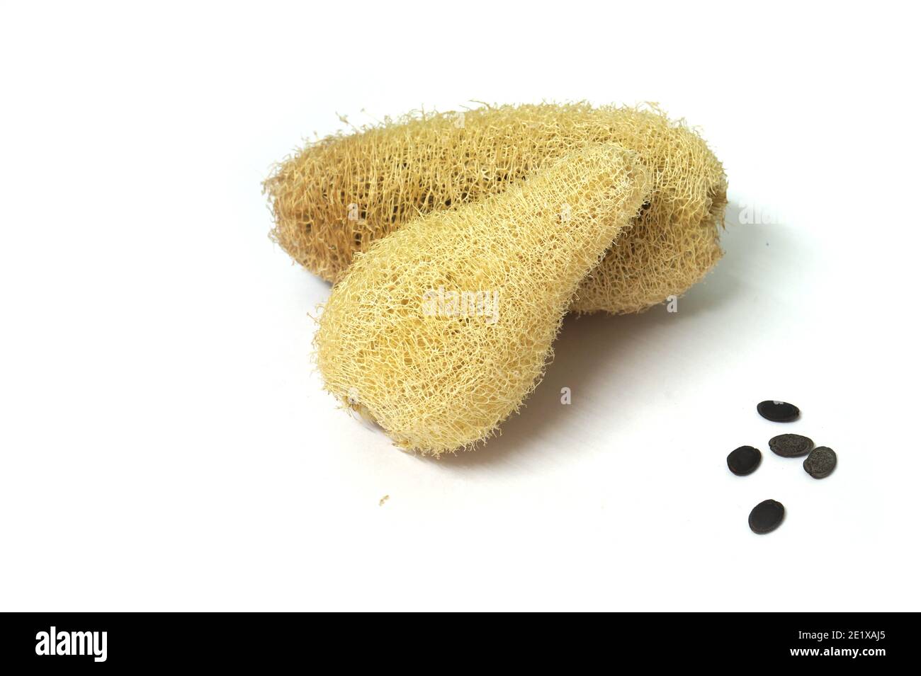 Natural Scrubber Sponge guard on a white background. Loufah Sponges ...