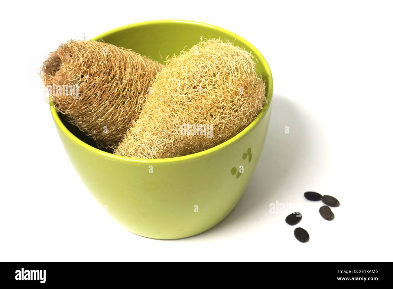Natural Scrubber Sponge guard on a white background. Loufah Sponges ...