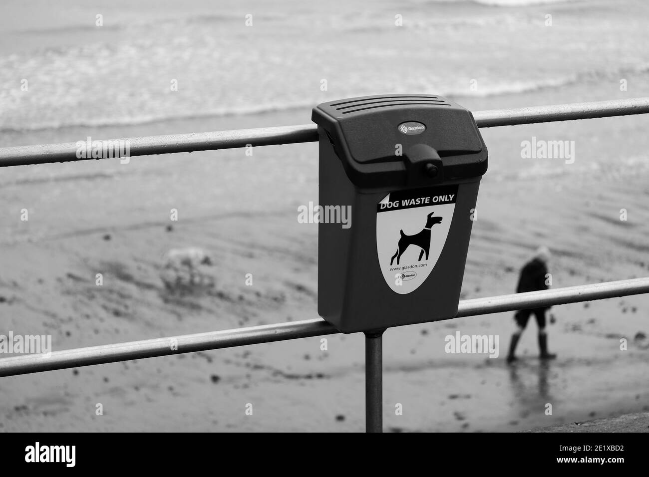 Dog Walking Poo Black And White Stock Photos Images Alamy