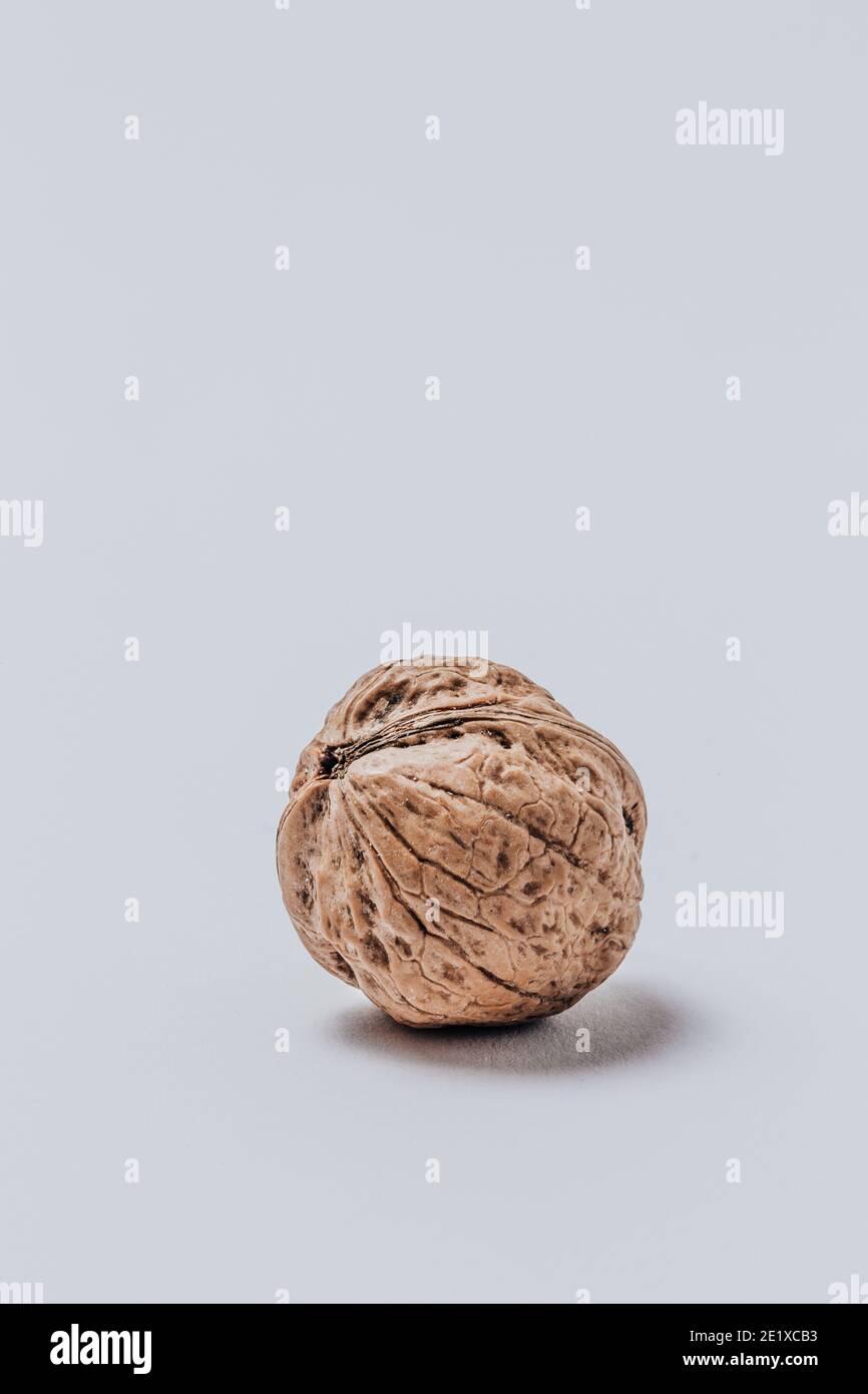 Edible walnut hi-res stock photography and images - Alamy