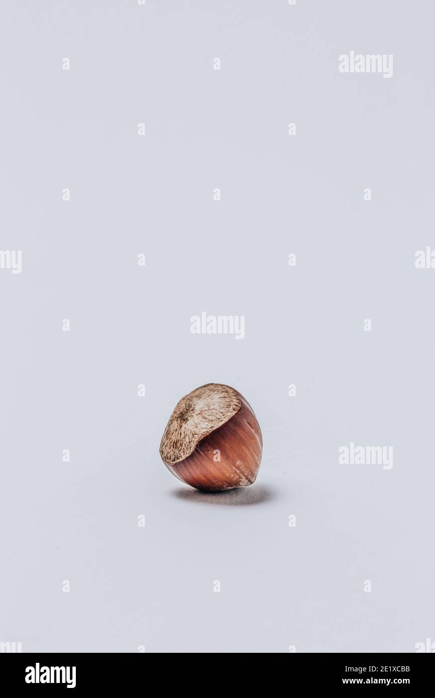 Hazelnut texture hi-res stock photography and images - Alamy