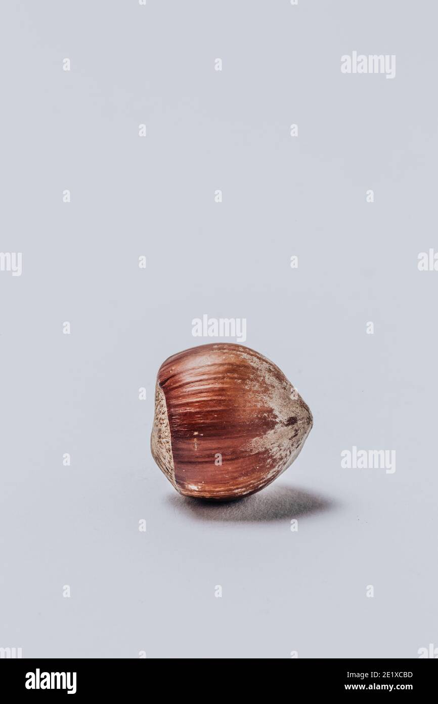 Fresh Whole Hazelnut in Nutshell on White Background, isolated Stock ...