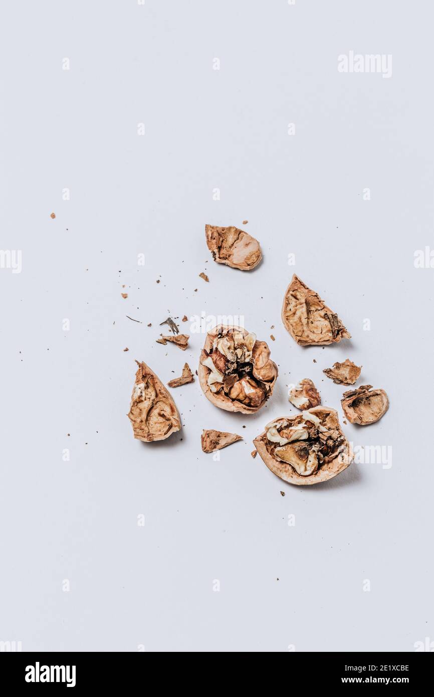 Inside of walnut hi-res stock photography and images - Alamy