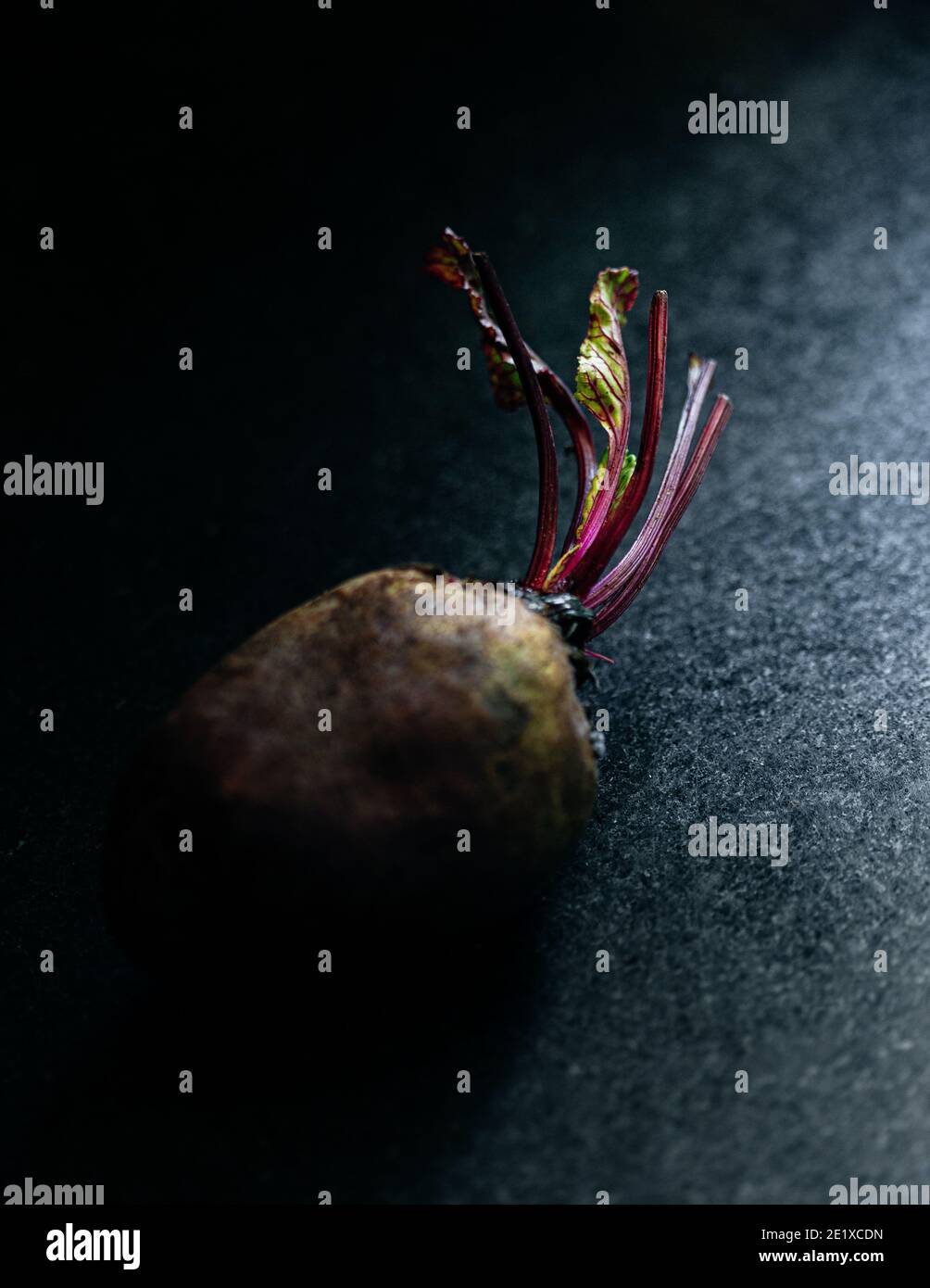 Beetroot still life hi-res stock photography and images - Alamy