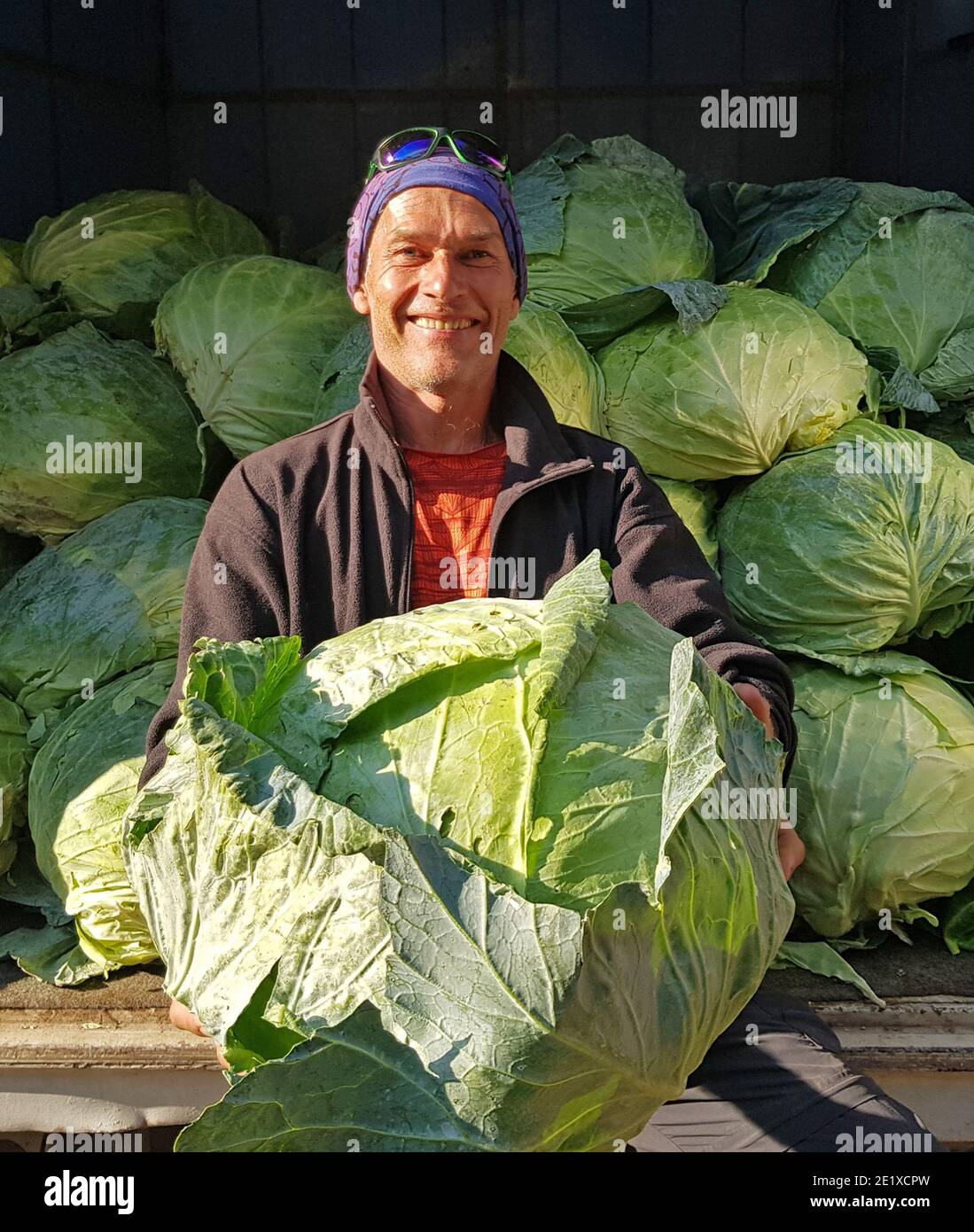 Cabbage head man hi-res stock photography and images - Alamy