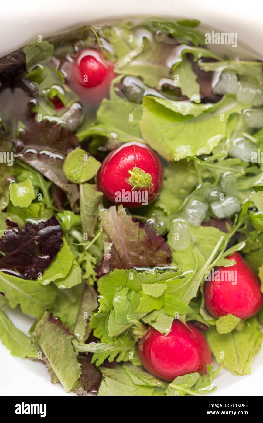 Floating vegetables hi-res stock photography and images - Alamy