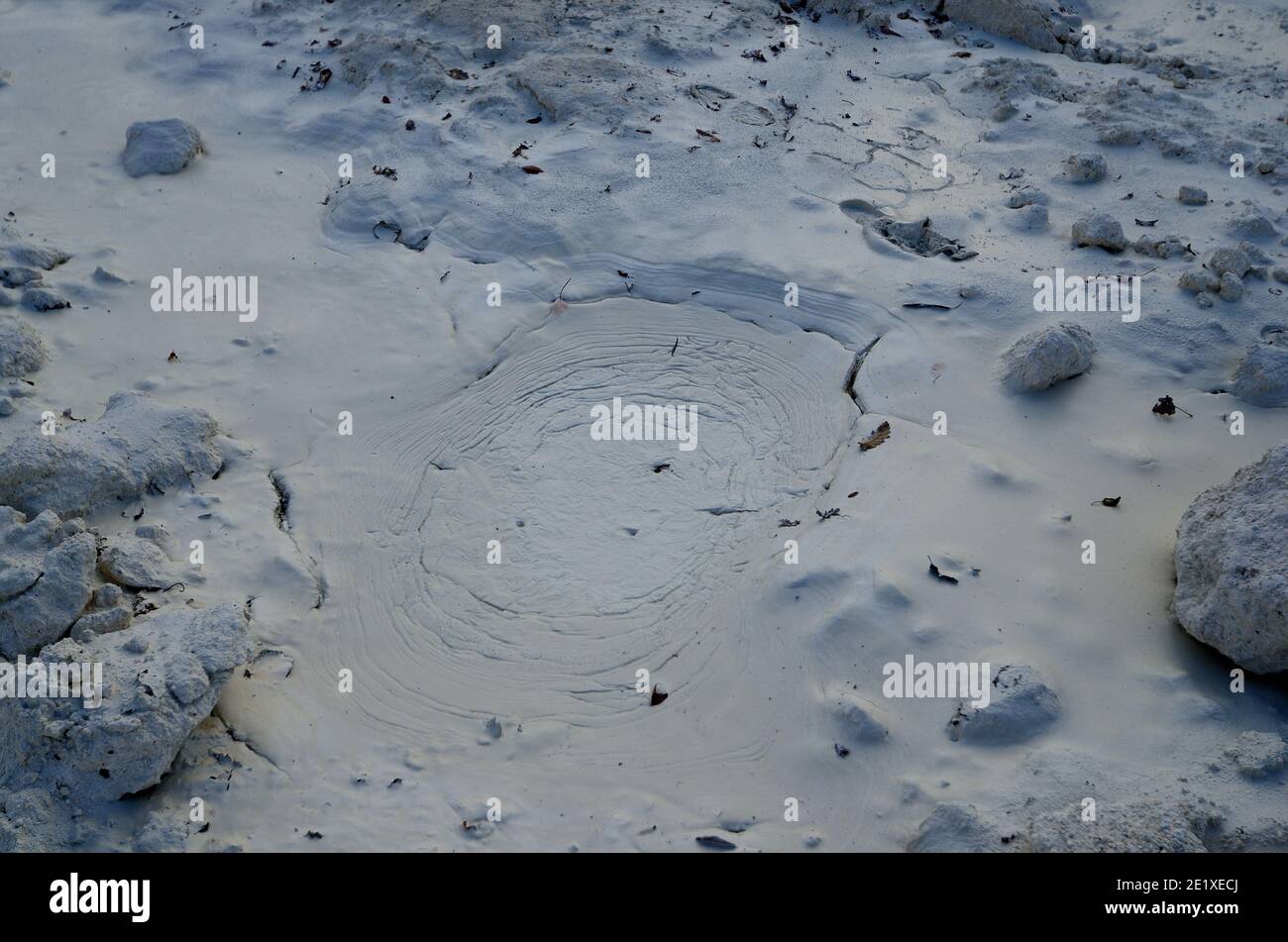 circular footprints in the soft white lime mud Stock Photo - Alamy