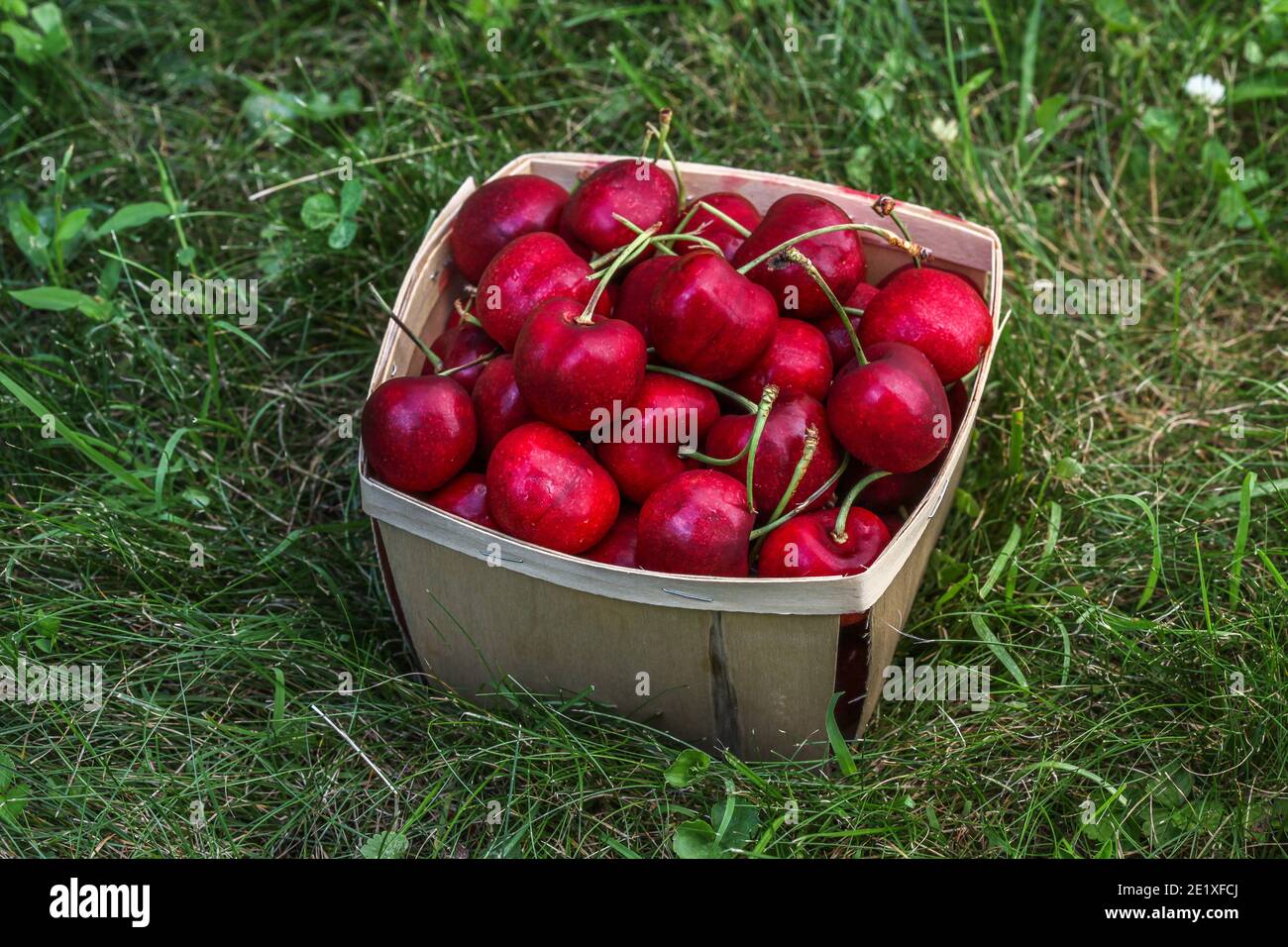 Red cherry inside wooden basket Stock Photo - Alamy